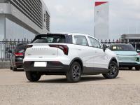 China Geometry E Electric Car High Speed and Long Range with Lithium Iron Phosphate Battery for sale