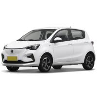 China Changan E Star 2022 Mini Electric Car 40 KWh Battery Capacity and 0.63h Quick Charge Time for sale