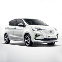 China Elecric Fuel Type Changan BenBen E-Star Energy Electric Car with Slow Charge time 5h for sale