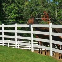 China 3-Rail Fence, Garden Anti-Corrosion Vinyl PVC Farm Fence, PVC Horse Stable Fencing for Farm and Ranch Safety for sale