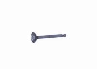China Golf Cart FE350 Exhaust Valve Golf Cart Parts G1017445 Fits For Club Car Gas DS for sale