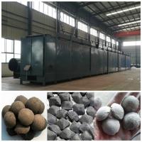 China 2024 Coal Ball Mesh Belt Conveyor Drying Oven with and Far Infrared Heating Source for sale