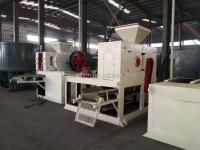 China 30t/h Coal Powder Iron Steel Powder Briquette Machine with Roller Diameter 290-1000mm for sale