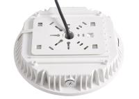 China 60W LED Canopy Light 9000LM Explosion Proof White with Motion Sensor 100-277V for sale