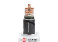 China LSHF Armoured Power Cable (99.95% Copper, UV-Resistant) for sale