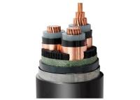 China CTT Cable 2–30 Core Electrical Cable with PVC Jacket for Power Distribution and Control Systems for sale