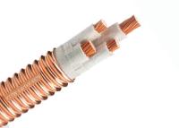 China IEC60502 Standard Mineral Power Cable Fire Proof Electrical for sale
