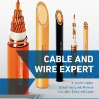 China Electric Mineral Fire Resistant Insulated Power Cable IEC60502 Standard for sale