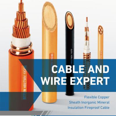 China Electric Mineral Fire Resistant Insulated Power Cable IEC60502 Standard for sale