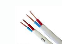 China 300/500 V Two Cores Electrical Wire , Copper Conductor Electrical Cable for sale