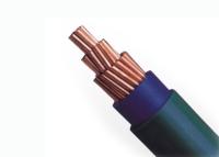 China Fire-Resistant PVC Insulated Electric Cable (Single Core & Multi-Core) for Industrial Electrical Wiring Applications for sale