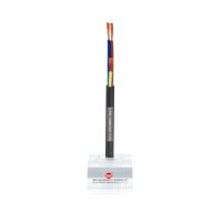 China 300/500V Rate Voltage Copper Conductor Building Wire 100 M Standard Delivery Length for Electrical Installations for sale