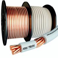 China 450/750V Copper Building Wire for Indoor and Outdoor Use for sale