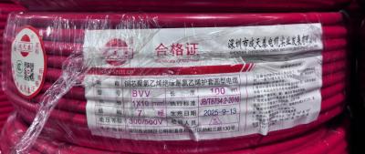 China Stranded Copper Conductor Building Wire for Durable Electrical Systems 300 / 500V for sale