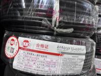 China Black Copper Conductor Building Wire Unshielded Solution for Electrical Wiring in Residential Commercial and Industrial Projects 300/500V for sale