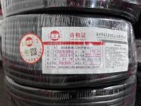 China Copper Conductor Building Wire Suitable for Building Wire Projects Ensuring Safety and Efficiency 300/500V for sale