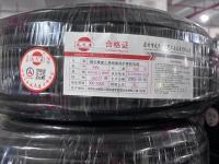 China Building & Construction Wire Copper Conductor Electrical Cable Suitable for Indoor Outdoor Wiring Applications 300 / 500 V for sale
