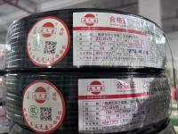 China PVC Insulation Copper Building Wire Unshielded Building Wire Category Designed to Meet Electrical Code Requirements 450 / 750V for sale
