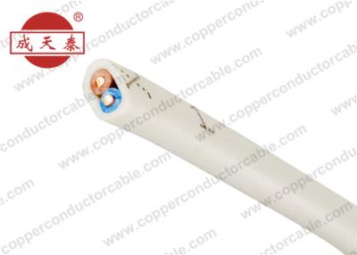 China Twin Core Copper Building Wire For House 300 / 500V for sale