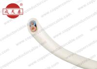 China Flat Flexible Copper Conductor Multi Core Electrical Cable 300 / 500V H05VV-F for sale
