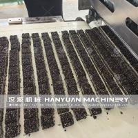 China Complete Black Sesame Bar Making Machine 10kW-20kW 250kg-300kg/h Peanut Bar Production Line for sale