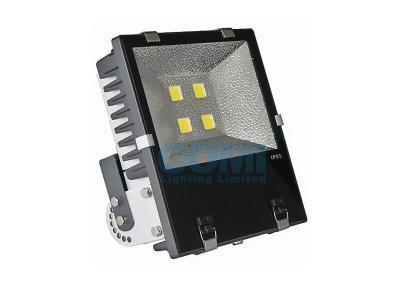 China 200W Brigdelux Tunnel LED Flood Lights 19459LM With100 - 277VAC Mean Well Driver for sale