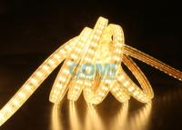 China 180 - 264V 2 Rows Type High Voltage LED Strip Light Flexible 2 Years Warranty for sale