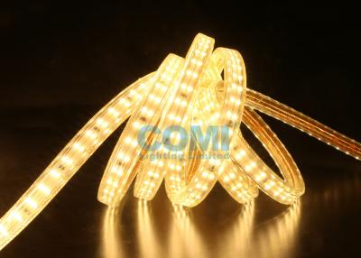China 180 - 264V 2 Rows Type High Voltage LED Strip Light Flexible 2 Years Warranty for sale