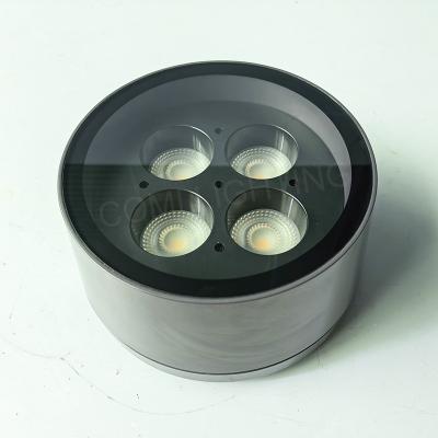China Outdoor IP66 Waterproof Ceiling Surface Mounted LED Downlights  24W Or 48W DALI Dimming Or DMX512 Control For Architecture And Landscape  Lighting for sale