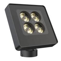 China 40W IP66 LED Flood Spot Light 0-10V DALI PWM DMX Surface Mounted for sale