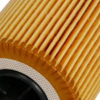 China Hydwell 1KG Car Oil Filter for Pump 071115562 045115466 A 1118184 Marine Engine Parts for sale