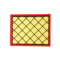 China Heavy Duty Truck Air Filter Element 10222905 High Efficiency 250mm Paper Media for sale