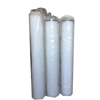China 0.1 Micron PES Membrane Pleated Liquid Filter Cartridge 10 inch 69mm OD for Food Industry for sale