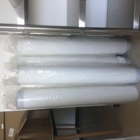 China 0.1 Micron PES Membrane Pleated Liquid Filter Cartridge 10 inch 69mm OD for Food Industry for sale