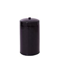 China Dual-Flow Oil Filter 156072190 P502364 P551364 15613E0030 123x123x225mm 1.54kg Auto Engine Parts for sale