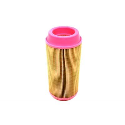 China Truck Engine Air Filter C11100 P778979 6211455100 116x227mm 1kg for Heavy Duty Trucks for sale