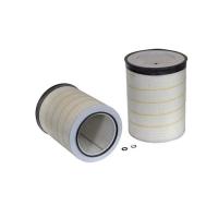 China Truck Model Air Filter Cartridge HEPA 99% P181040 PA2453 F1010507 for sale