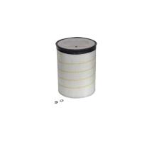 China Truck Model Air Filter Cartridge HEPA 99% P181040 PA2453 F1010507 for sale