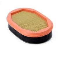China Air Filter 2277448 2277449 227-7448 227-7449 Af26247 Af26248 Cp23210 Ca10722 231.9mm x 162.8mm x 175mm for sale