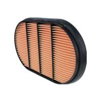 China P601560 Air Filter for D100029 Engine 8737 316*189*40 for sale