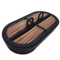 China Air Filter Element CF2120 Af26655 209x107x39mm 95% Efficiency Safety Filter for sale