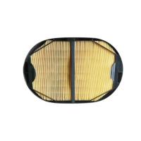 China Hydwell Safety Air Filter Element 227-7449 208x141x44mm for Loader Parts for sale