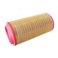 China Hydwell Air Filter Element 2343432 AF4319 for Truck Diesel Engine Parts Fiberglass for sale