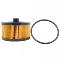 China Hydwell 152095084R Lube Oil Filter Element for Truck and Tractor Engines 100 Micron for sale