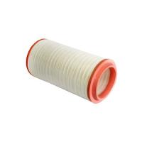China Diesel Air System Air Filter Set C30810/3 C308103 2453818 for Durable Performance for sale
