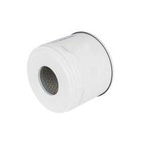 China Diesel Fuel Filter P556245 BF825 26551117 for Truck Engine Parts Hydwell Supply for sale