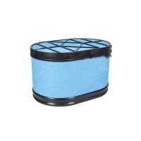 China Hydwell Honeycomb Air Filter 84191182 381x256x234mm for Truck P622091 WAI25782 for sale