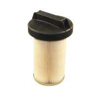 China Tractor Engine Fuel Filter PF7770 RE515345 RE507284 219mm Height 137mm Diameter for sale