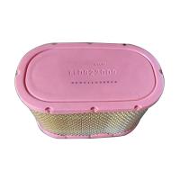 China Honeycomb Air Filter 110923009 for Light Truck 255x150x160mm Europe Spec for sale