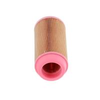 China Hydwell Air Compressor Air Filter AF26387 CF100 2914930000 P778979 253mm Length 115mm OD for sale